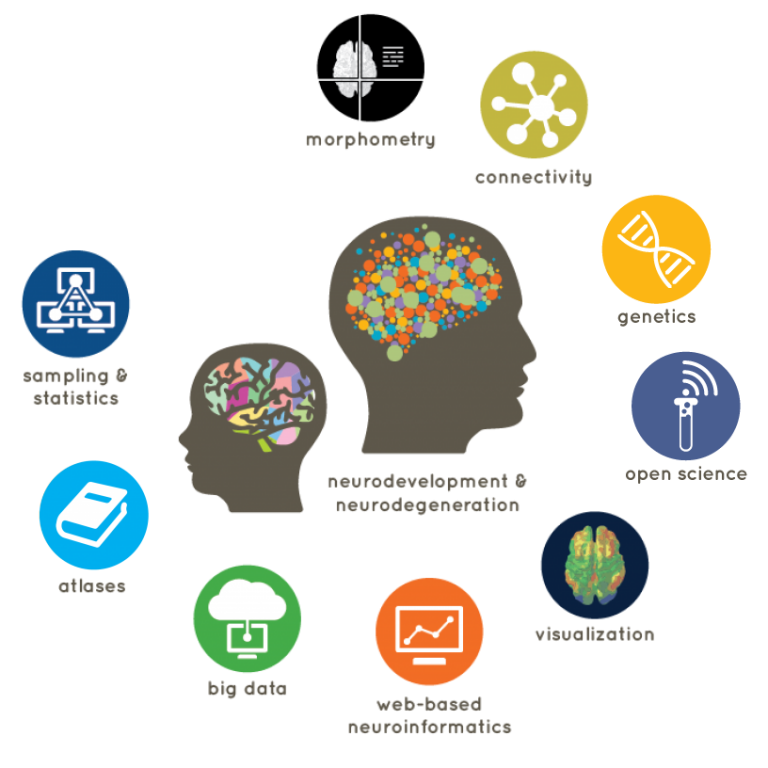 McGill Centre for Integrative Neuroscience – McGill Centre for ...